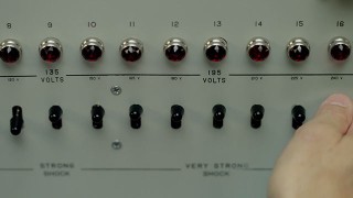 EXPERIMENTER: THE STANLEY MILGRAM STORY | The-Solute