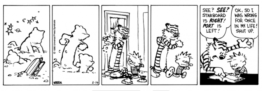 Year of the Month: CALVIN AND HOBBES | The-Solute
