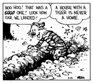 Year of the Month: CALVIN AND HOBBES | The-Solute