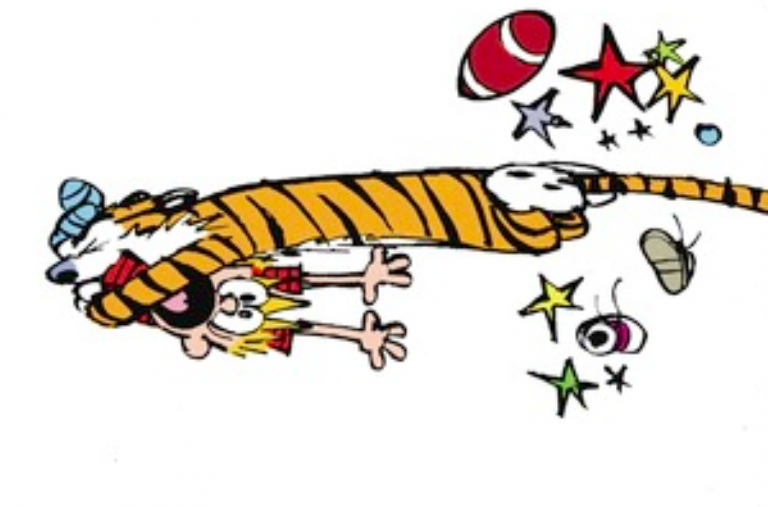 Year of the Month: CALVIN AND HOBBES | The-Solute