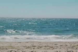 THE BEACH HOUSE (2019) reviewed by Miller | The-Solute